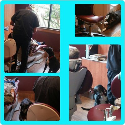 GERWIG FAMILY DENTAL - Updated January 2026 - 15 Reviews - 4425 98th St ...