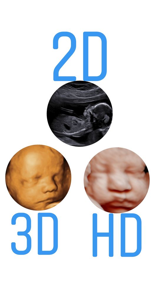 PICTURE PERFECT IMAGING - Updated December 2025 - 711 Higdon Ferry Rd ...