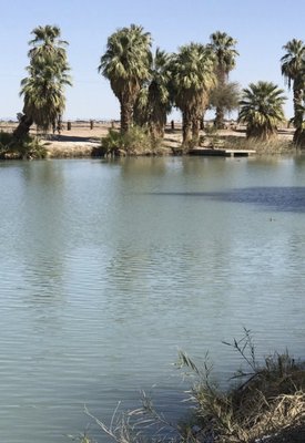 SUNBEAM LAKE - 43 Photos & 11 Reviews - 1750 Drew Rd, Seeley ...