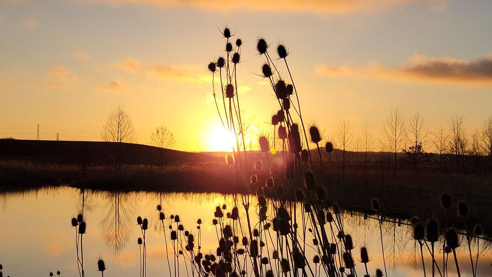 FERNALD PRESERVE - Updated May 2024 - 354 Photos - 7400 Willey Rd ...