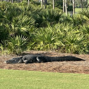 SPRING RUN GOLF CLUB - Updated August 2025 - 9501 Spring Run Blvd ...