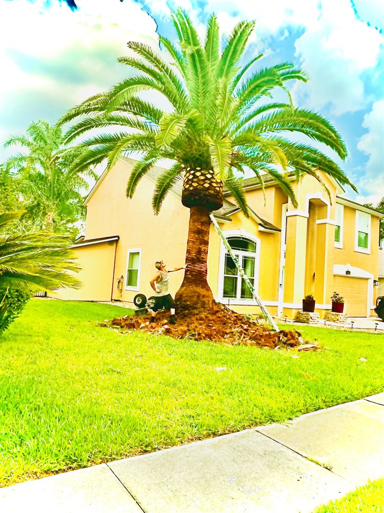 OLD TIMEY TREES - 44 Photos & 22 Reviews - Jacksonville, Florida - Tree ...