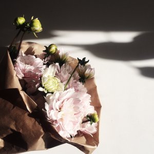 FIOL BLOMSTER - Fiolstræde 18, København, Denmark - Florists - Phone ...