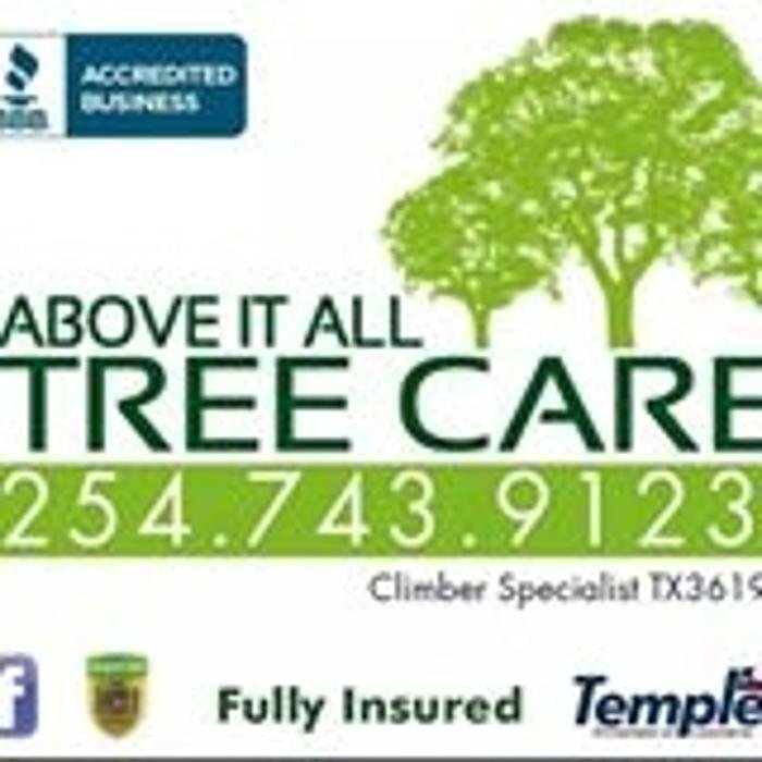 ABOVE IT ALL TREE CARE - Updated September 2025 - 19 Photos - Temple ...
