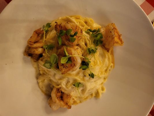 DON CHEECH - Updated April 2025 - 70 Photos & 50 Reviews - 1271 Bay St ...