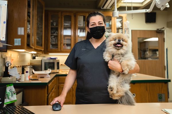 HAMILTON ANIMAL HOSPITAL - Updated October 2024 - 94 Photos & 192 ...