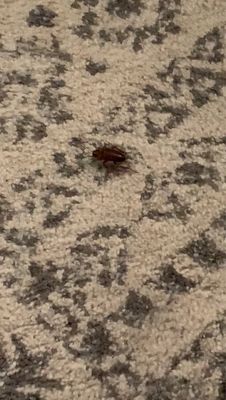 GROUP FOX PROPERTY MANAGEMENT - Updated January 2026 - 78 Photos & 242 ...