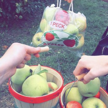 RED APPLE BARN - Updated September 2025 - 49 Photos & 24 Reviews - 3379 ...