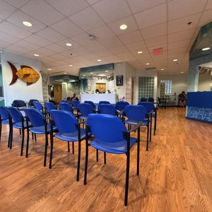 St Louis Pediatric Dentistry Des Peres