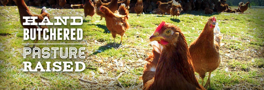 COPICUT FARMS - Updated May 2026 - 11 Copicut Rd, North Dartmouth ...