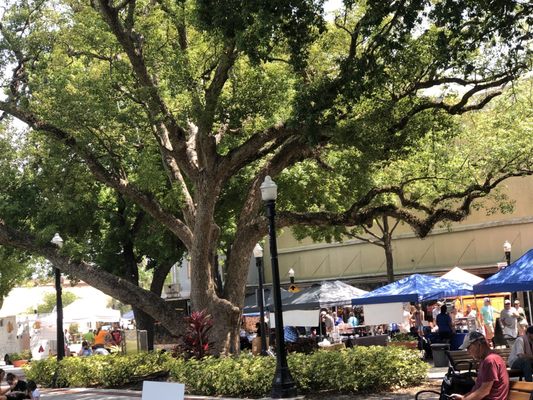 MUNN PARK - Updated April 2025 - 43 Photos - 201 East Main St, Lakeland ...