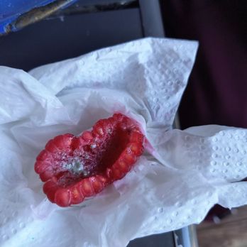 BONFIRE - A SMOKIN TAQUERIA - Updated July 2024 - 132 Photos & 191 ...