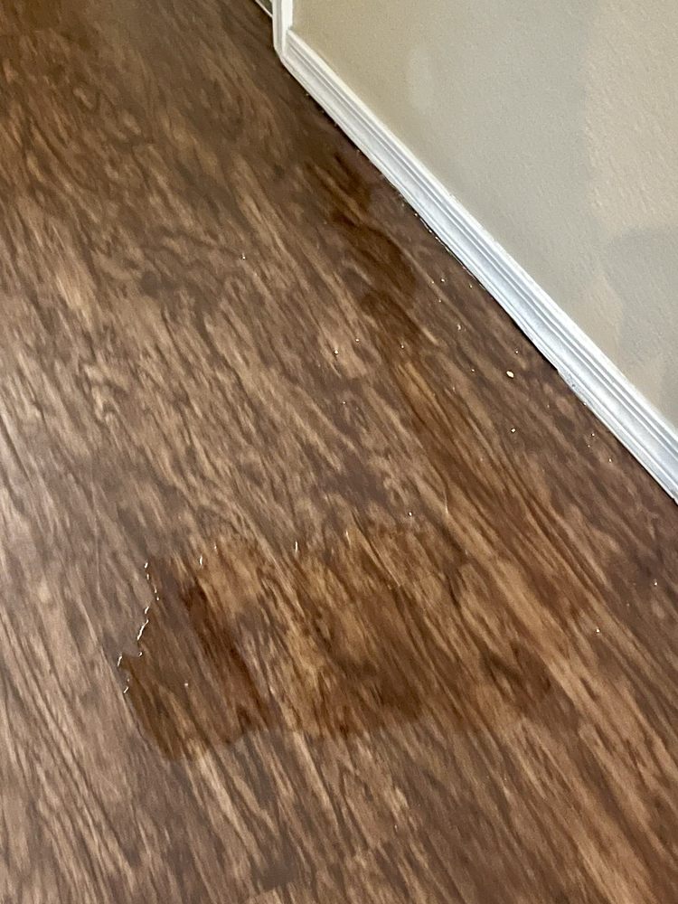 ULTIMATE PROPERTIES - Updated November 2025 - 105 Photos & 118 Reviews ...