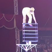 THE BIG E - 949 Photos & 255 Reviews - Stadiums & Arenas - 1305 ...