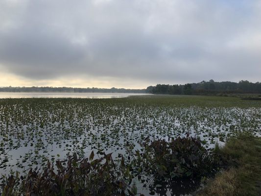 CHIPPEWA LAKE - Updated May 2026 - 18 Photos - 7597 Ballash Rd, Medina ...