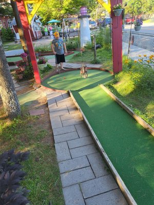 NUTTY PUTTY - Updated December 2025 - 2933 State Rt 28, Old Forge, New ...