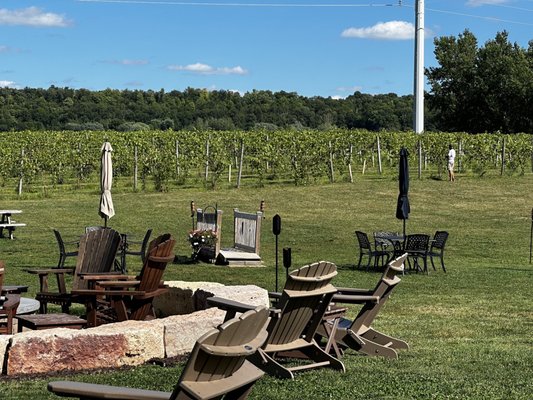 LEDGESTONE VINEYARDS - Updated August 2024 - 89 Photos & 42 Reviews ...