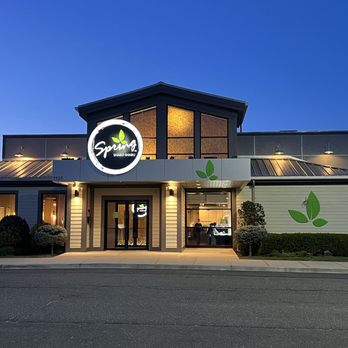 SPRING SHABU-SHABU - Updated June 2024 - 115 Photos & 32 Reviews - 1195 ...