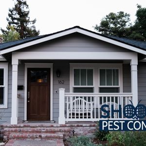 SPIDEXX PEST CONTROL - Updated July 2025 - 14 Photos - 5625 State Farm ...