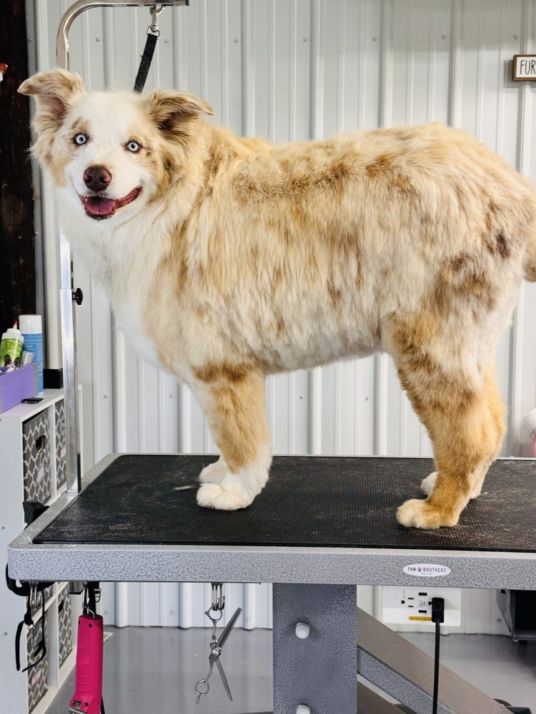 WIGGLY N’ WAGGLY - Updated June 2024 - Request an Appointment - 5995 S ...