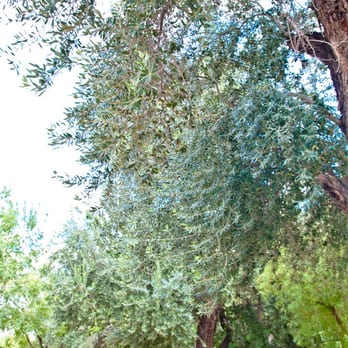 MURPHY’S BRIDLE PATH - Updated December 2025 - 18 Photos & 13 Reviews ...