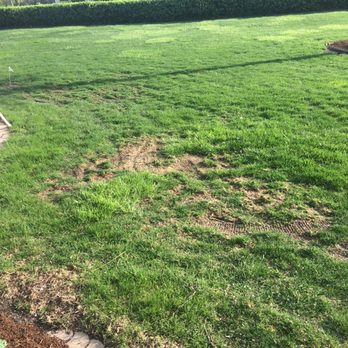 INFINITY LAWN & LANDSCAPING - Updated October 2025 - 40 Photos & 14 ...