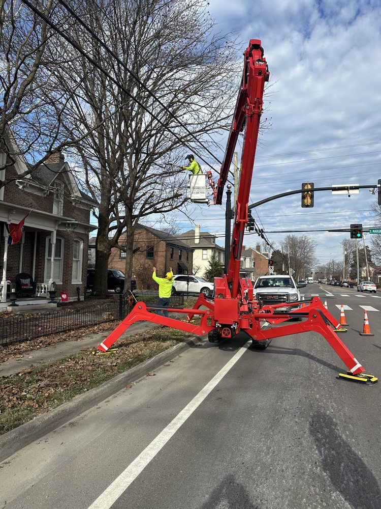 FRANKLIN TREE SERVICE - Updated October 2025 - 108 Photos - 2231 ...