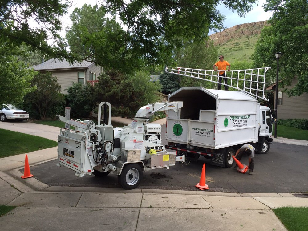 O’BRIEN TREE CARE - Updated September 2025 - 10 Reviews - Denver ...