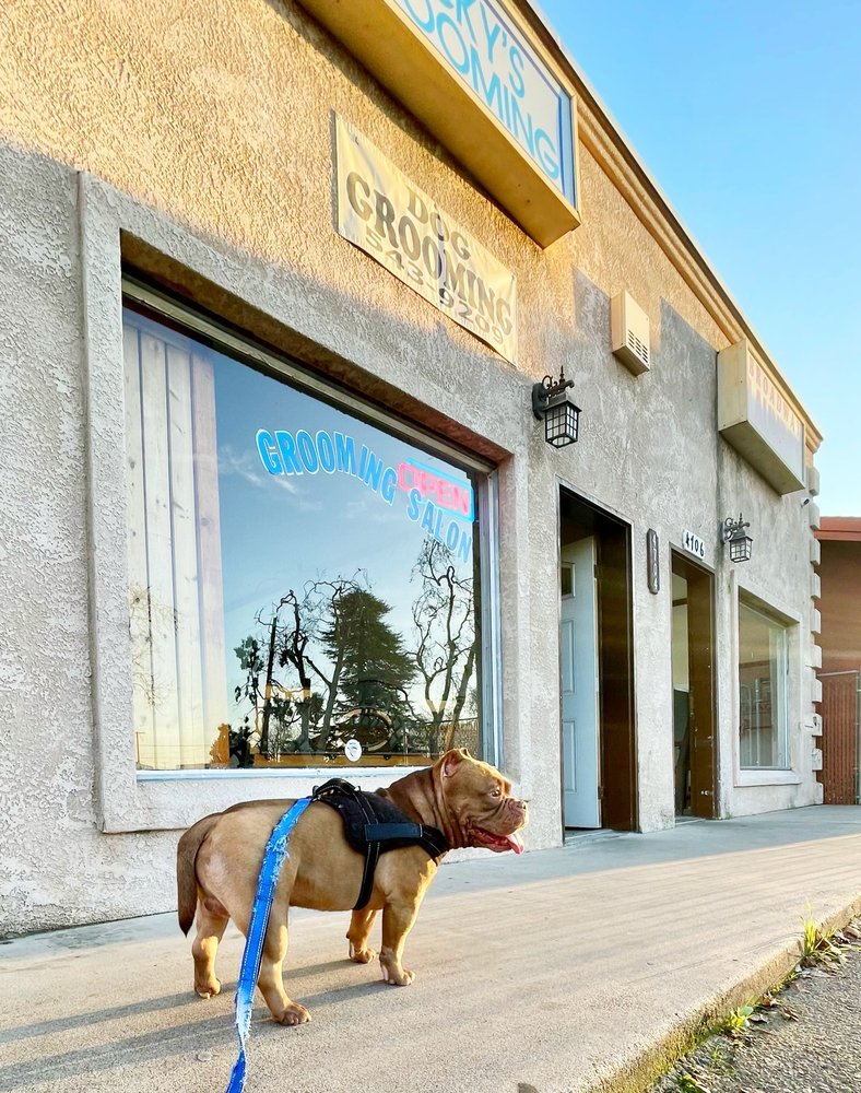 VICKY’S GROOMING - Updated August 2025 - 22 Photos & 39 Reviews - 4704 ...