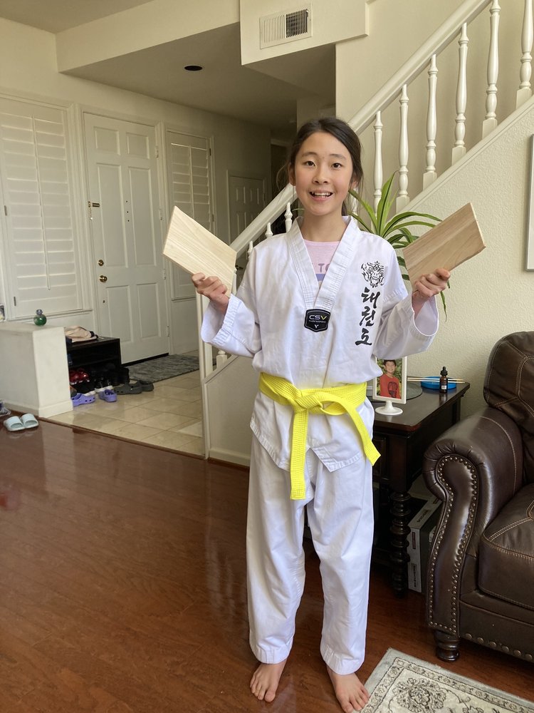 TEAM TIGERS TAEKWONDO ACADEMY - Updated August 2024 - 15 Photos & 16 ...
