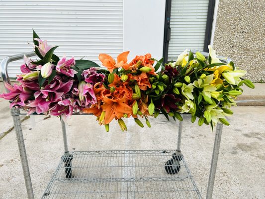 HOUSTON WHOLESALE FLOWERS - Updated June 2026 - 37 Photos - 7999 Hansen ...