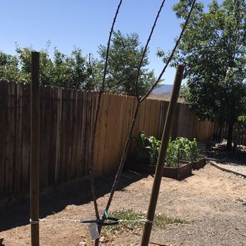 MOUNTAIN VIEW TREE FARM - Updated December 2025 - 40 Photos & 12 ...