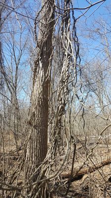 BROOK FARM HISTORIC SITE - Updated October 2025 - 670 Baker St, Boston ...