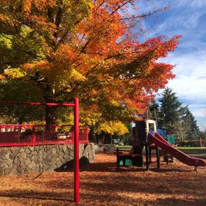 ANDERSON PARK - Updated June 2025 - 30 Photos & 19 Reviews - 7802 168th ...