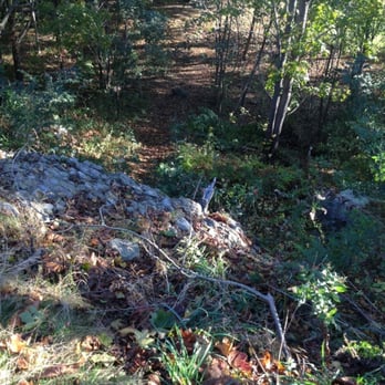 MIANTONOMI MEMORIAL PARK - Updated February 2025 - 39 Photos - Hillside ...