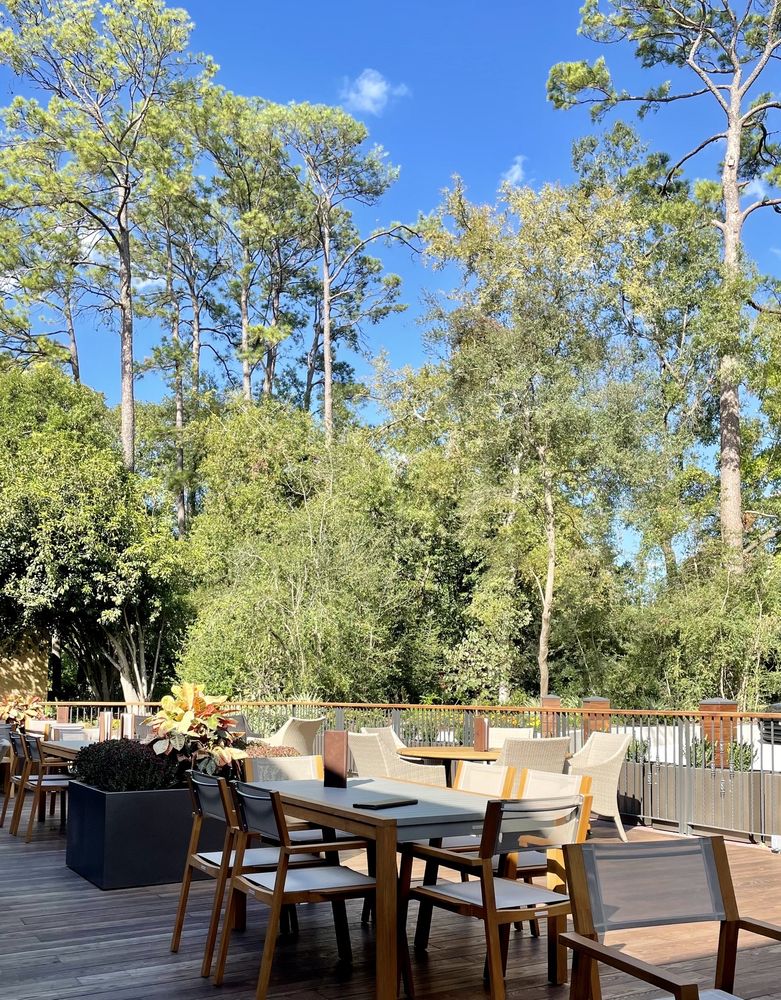 THE HOUSTONIAN HOTEL, CLUB, & SPA - 294 Photos & 232 Reviews - 111 N ...