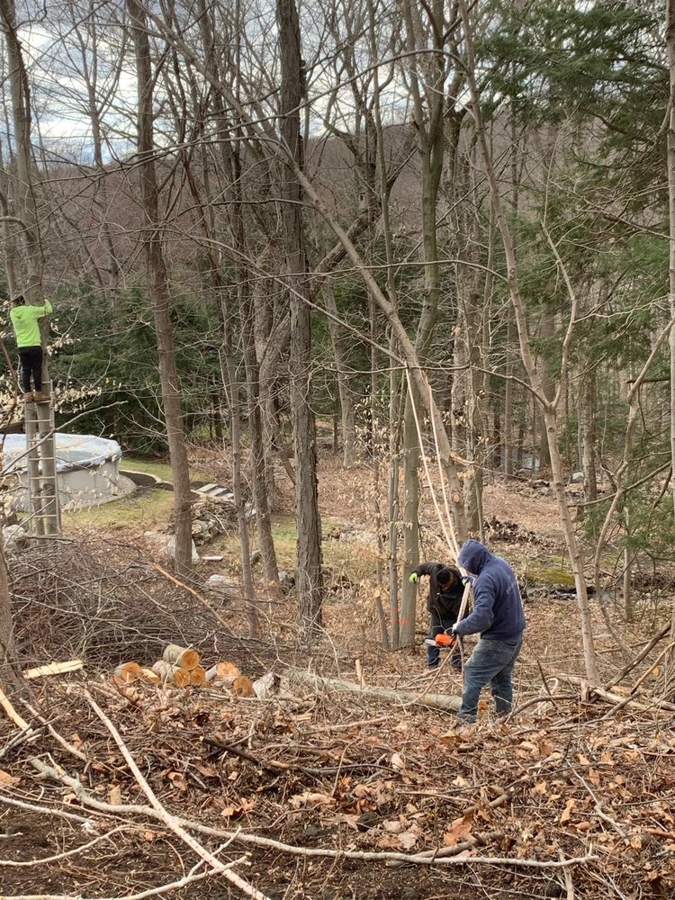 VASQUEZ K&K - Updated October 2025 - 44 Photos - Danbury, Connecticut ...