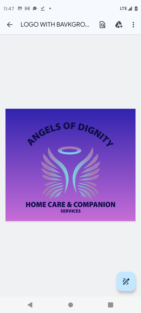 SABRINA’S ANGEL’S OF DIGNITY HOME CARE & COMPANION SERVICES - Updated April 2024 - Tampa Bay ...