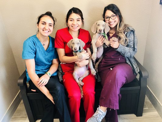 GULLY ANIMAL HOSPITAL OF GRAND PRAIRIE - 68 Photos & 27 Reviews - 2942 ...