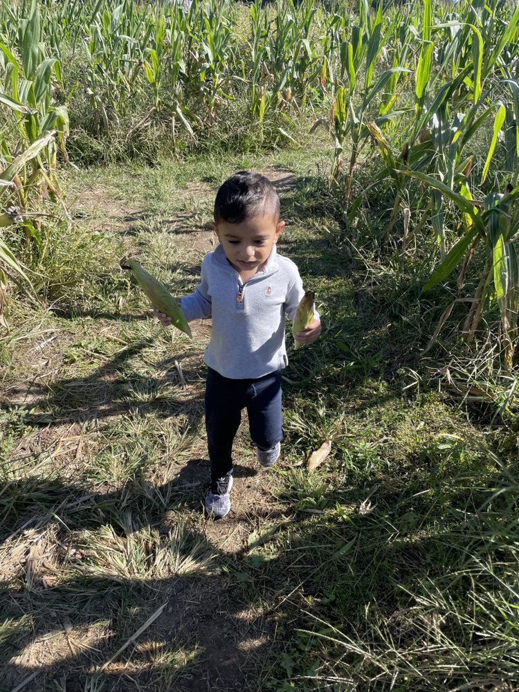 HOLDER HILL FARM - Updated December 2025 - 48 Photos & 15 Reviews ...