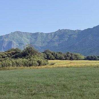 KIPU RANCH ADVENTURES - Updated January 2025 - 1767 Photos & 1558 ...