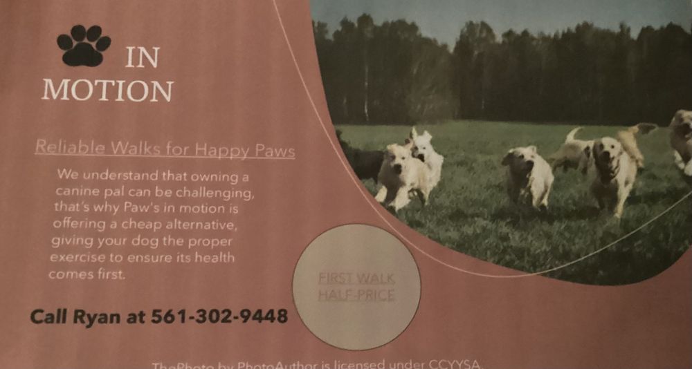 PAWS IN MOTION - Updated August 2024 - Discovery Pointe, Deerfield ...