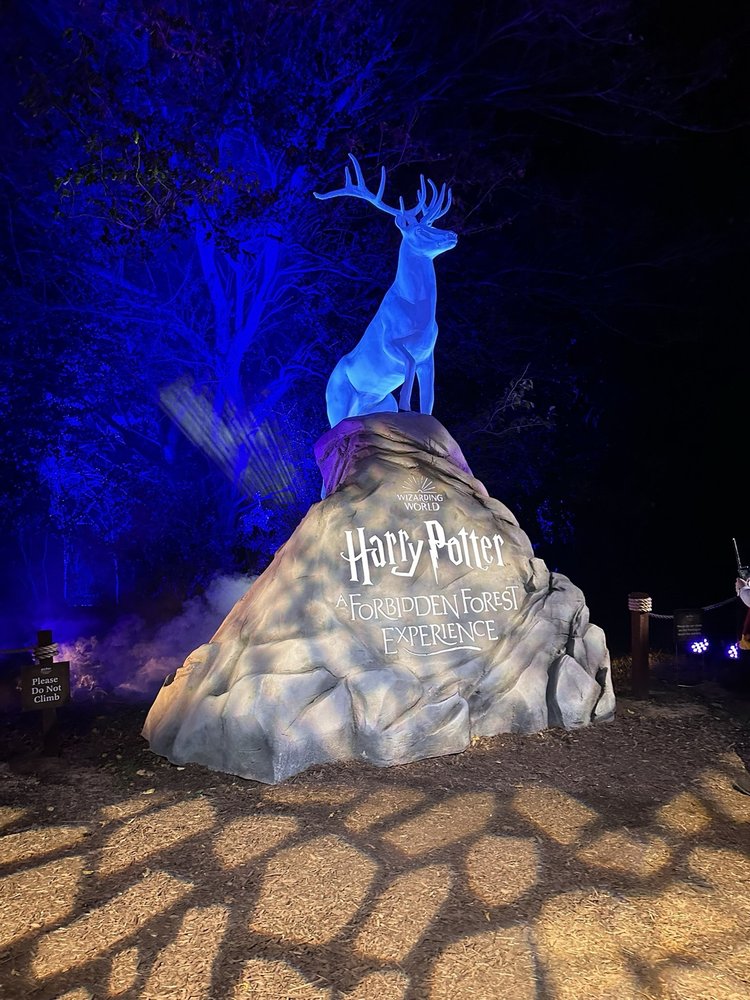 YMCA CAMP DUNCAN - Updated January 2026 - 19 Photos & 20 Reviews ...