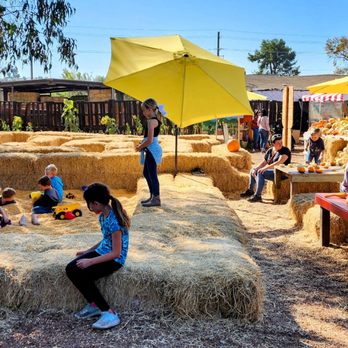 SONS FARM FRESH - Updated September 2024 - 63 Photos & 16 Reviews ...