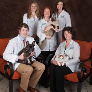 PET PARADISE POOLER - Updated June 2025 - 16 Photos - 900 Clear Lake ...