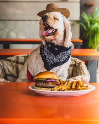 24 DINER - Updated August 2024 - 1341 Photos & 2152 Reviews - 600 N ...