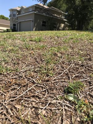 TRUGREEN LAWN CARE - 48 Photos & 53 Reviews - 3801 Center Lp, Orlando ...
