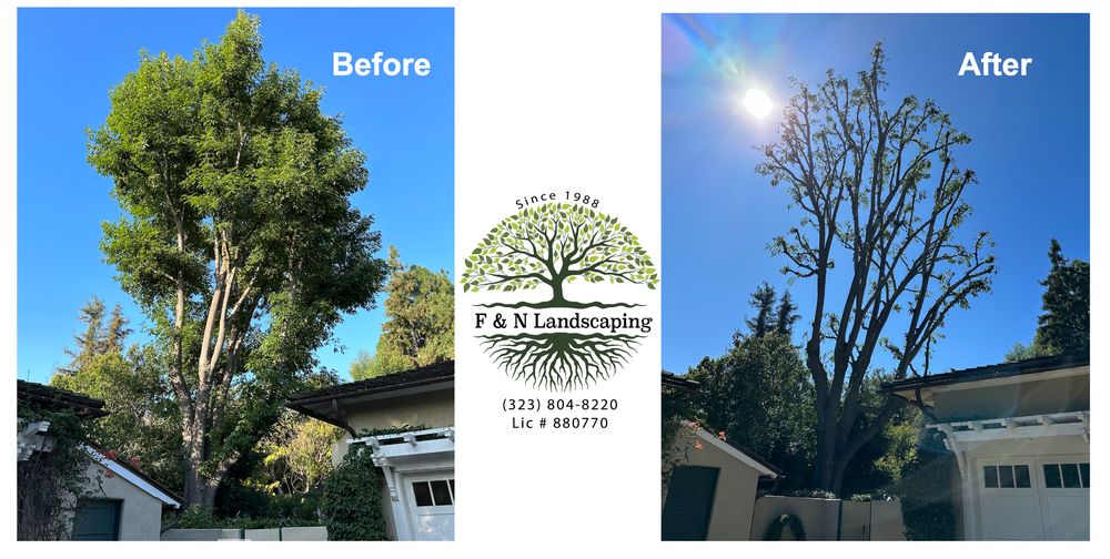 F & N LANDSCAPING - Updated October 2025 - 37 Photos - Azusa ...