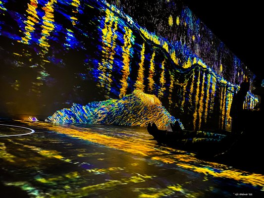 IMMERSIVE VAN GOGH EXHIBIT DENVER - Updated December 2025 - 242 Photos ...