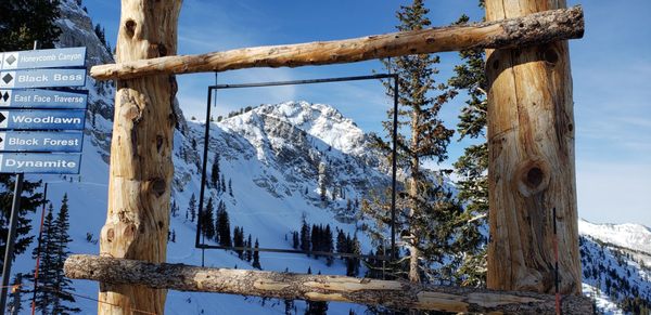 SOLITUDE MOUNTAIN RESORT - 144 Photos & 150 Reviews - Ski Resorts ...